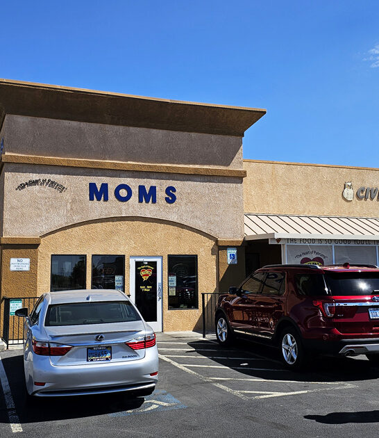 nevada fried steak diner ftr