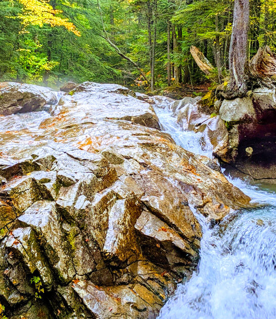 new hampshire known park ftr