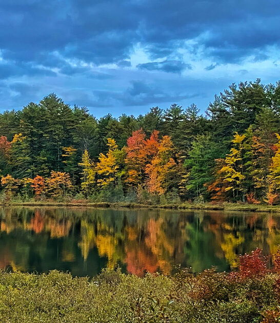 new hampshire park dreamy ftr