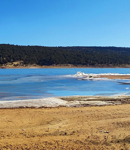 new mexico dreamy park ftr