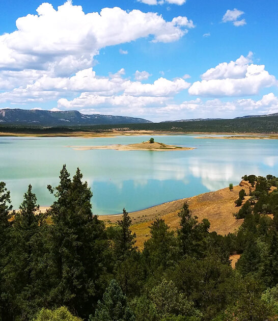 new mexico escape park ftr