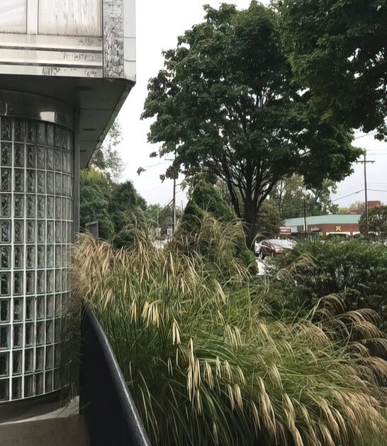 new york beloved diner ftr