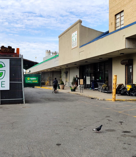 new york stores thrift ftr