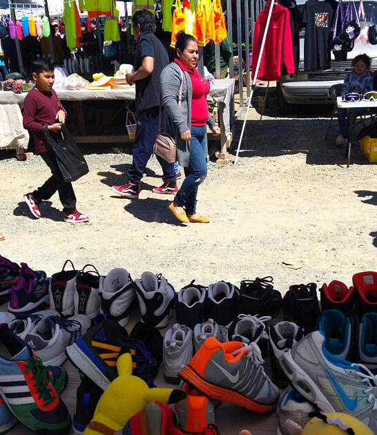 north carolina cheap bargains ftr