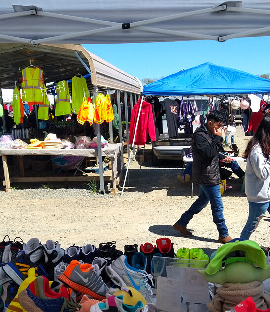 north carolina flock bargains ftr