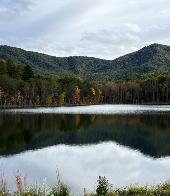 north carolina park state ftr