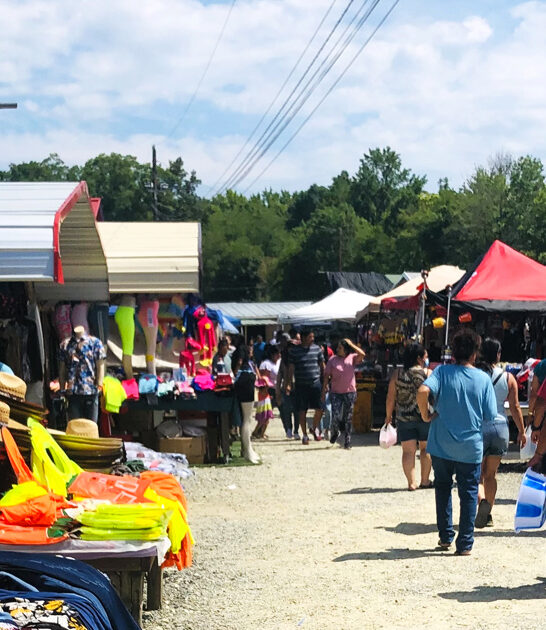 north carolina shopping market ftr