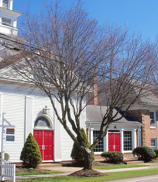 ohio town gorgeous small ftr