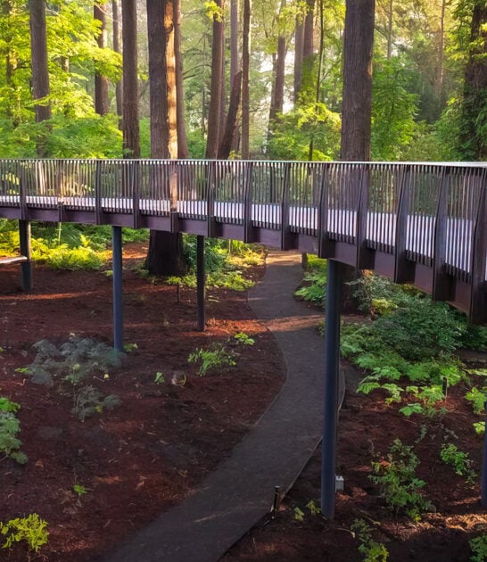 oregon dreamy botanicalgarden perfect ftr