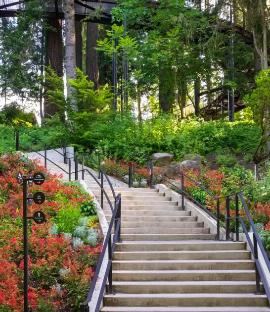 oregon gorgeous botanical garden ftr