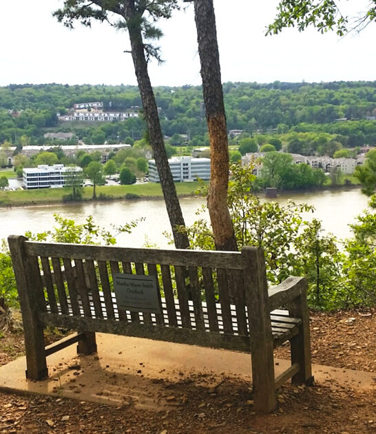 park arkansas million views ftr