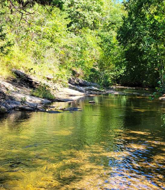 park carolina state north ftr