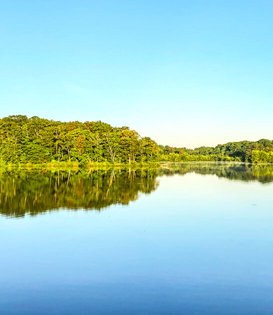 park delaware picturesque dream ftr