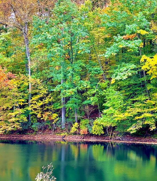 park maryland escape underrated ftr