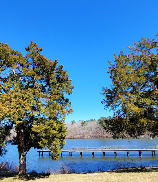 park mississippi dream photogenic ftr