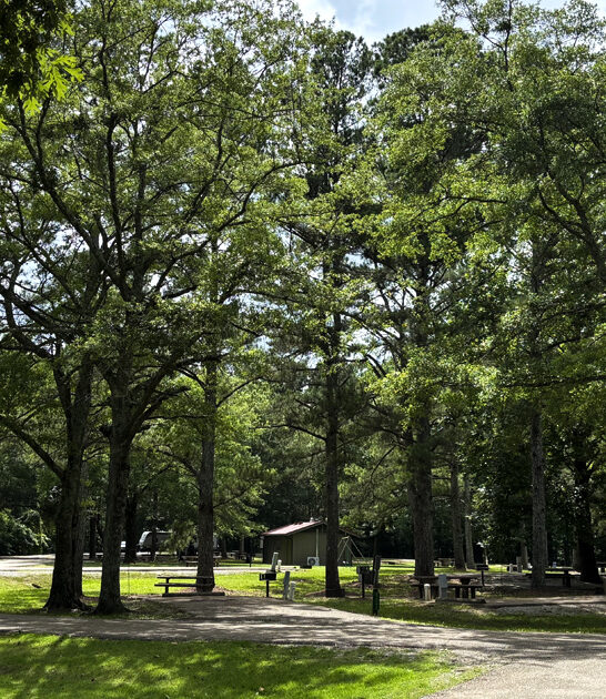 park mississippi make feel ftr