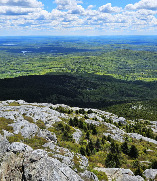 park new hampshire dream ftr