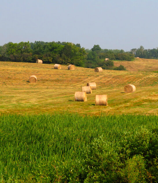 park north dakota dreamy ftr