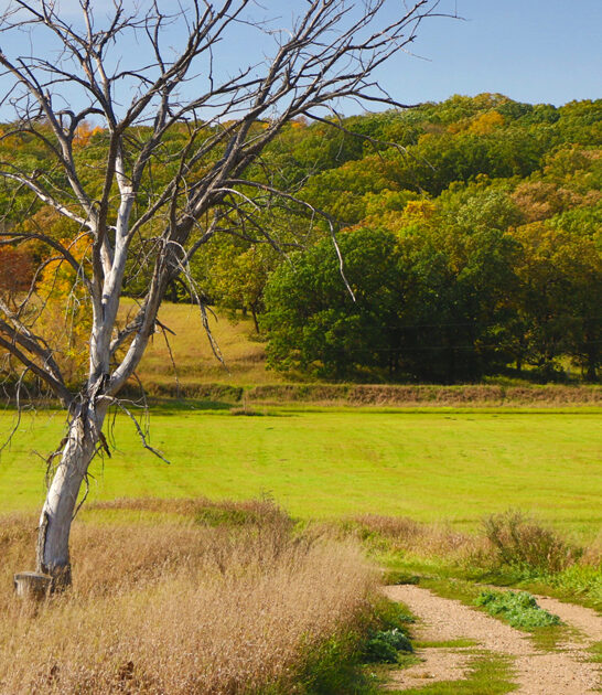 park north dakota gorgeous ftr