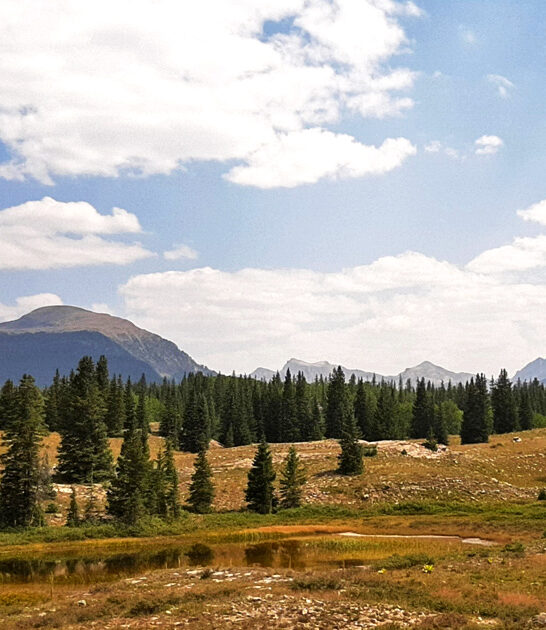 park peaceful new mexico ftr