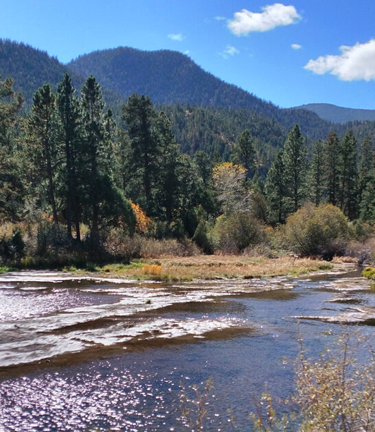 park perfect new mexico ftr