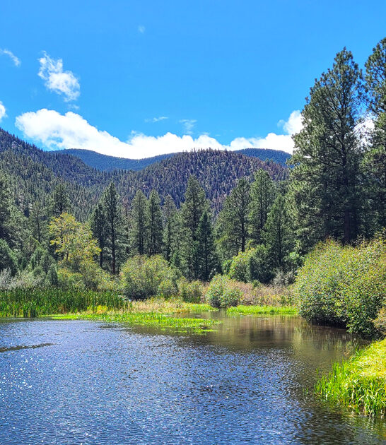 park stunning new mexico ftr
