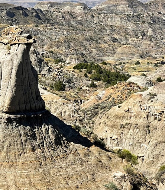 park underrated montana state ftr