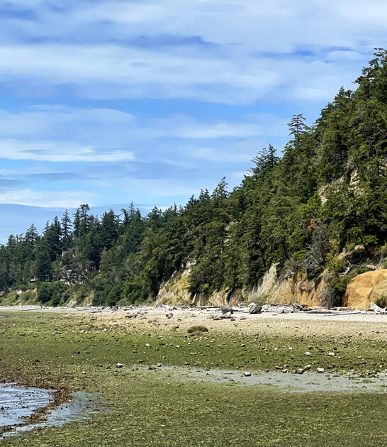 park washington stepping dimension ftr