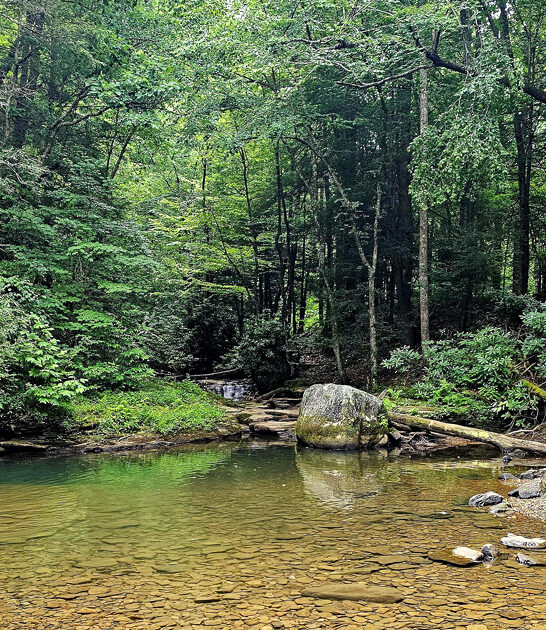 park west virginia known ftr