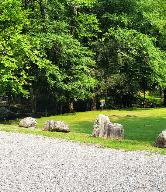 park west virginia postcard ftr