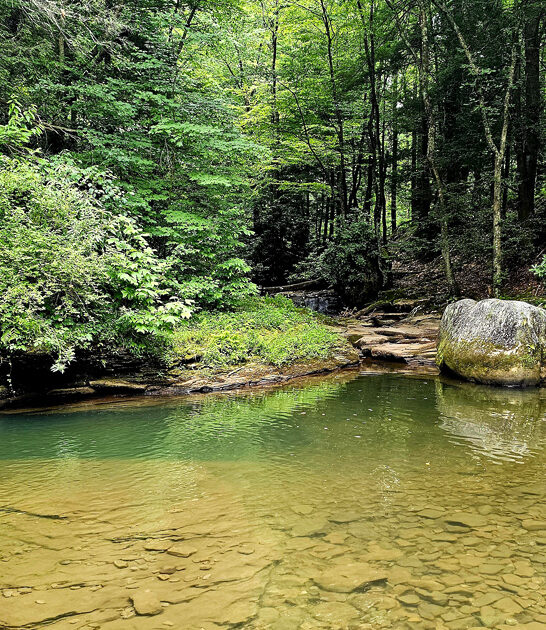 park west virginia trips ftr