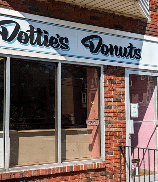 pennsylvania classic apple fritters ftr