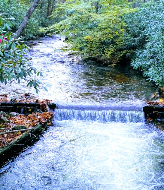 people state park pennsylvania ftr