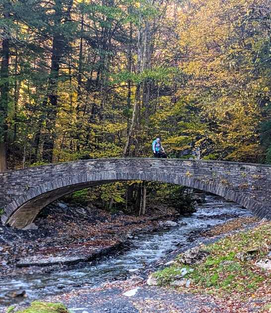 perfect new york park ftr