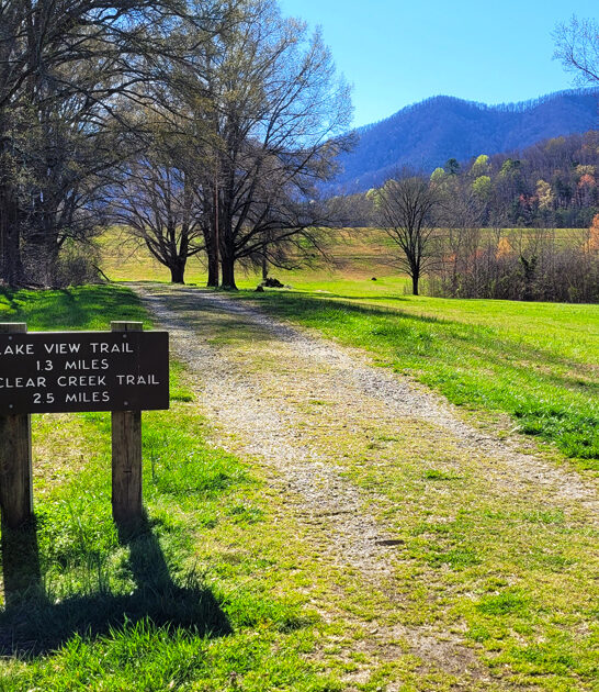 perfect north carolina park ftr