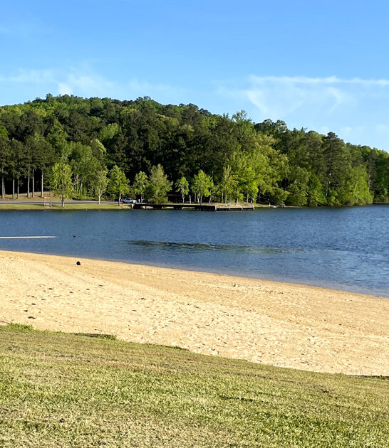 picture perfect park alabama ftr