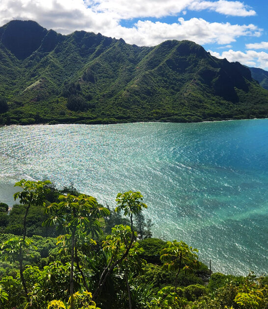 picture perfect park hawaii ftr