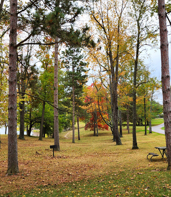 picturesque ohio dream park ftr