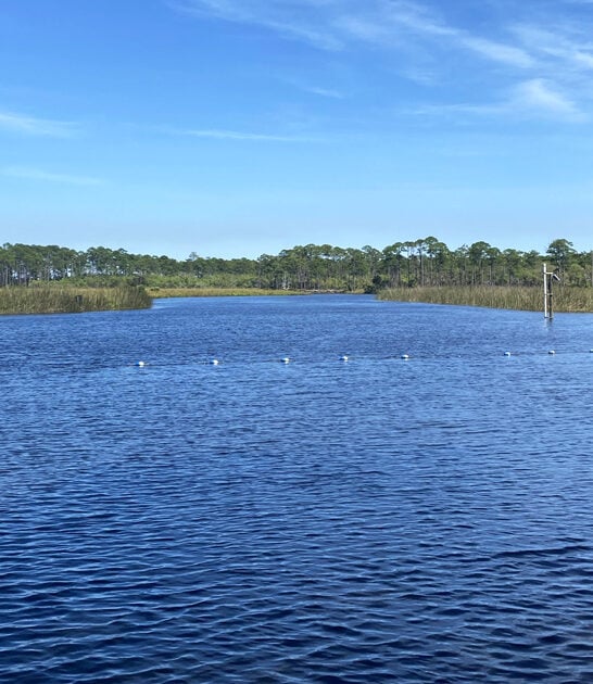postcard state park florida ftr