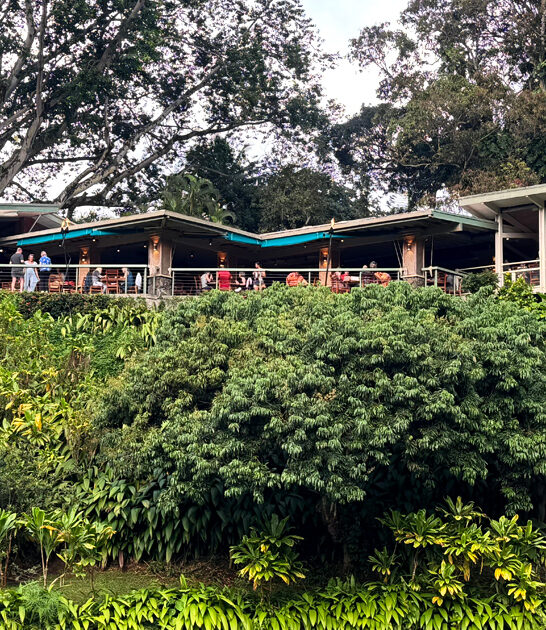 prime rib restaurant hawaii ftr