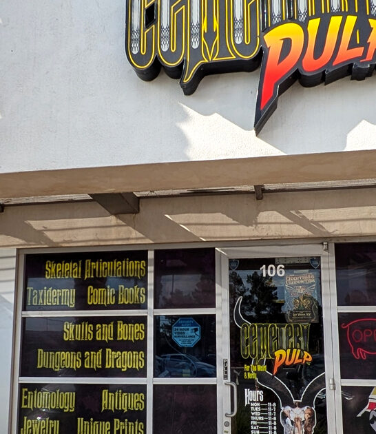 quirky store nevada antique ftr