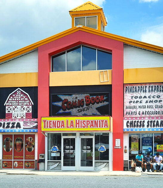 rare treasures market delaware ftr