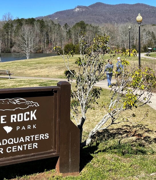 relaxing south carolina nature ftr