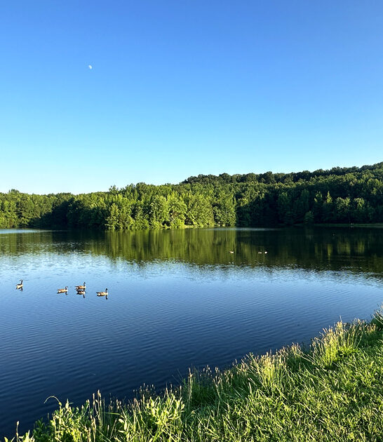 retreat park illinois peaceful ftr