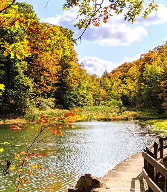 scenic new york park ftr