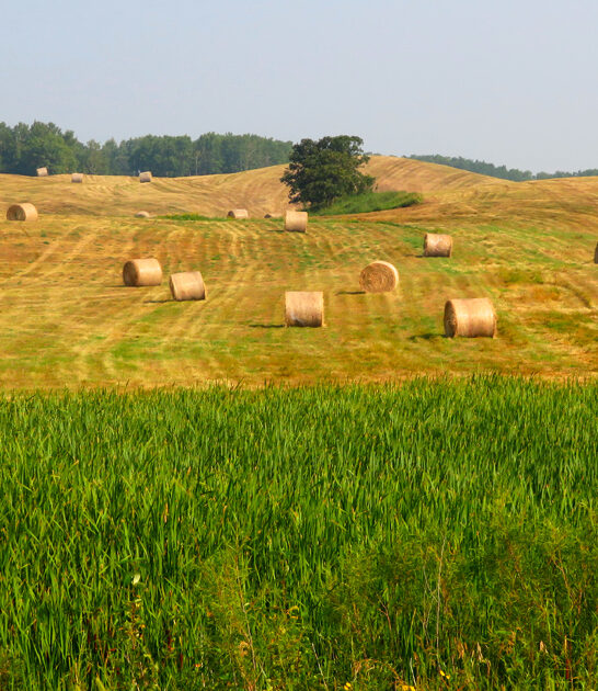 scenic north dakota park ftr