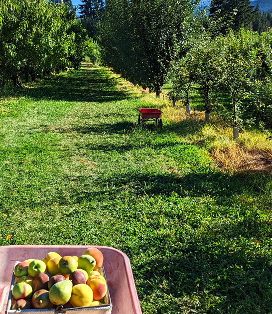 scenic oregon awesome farms ftr