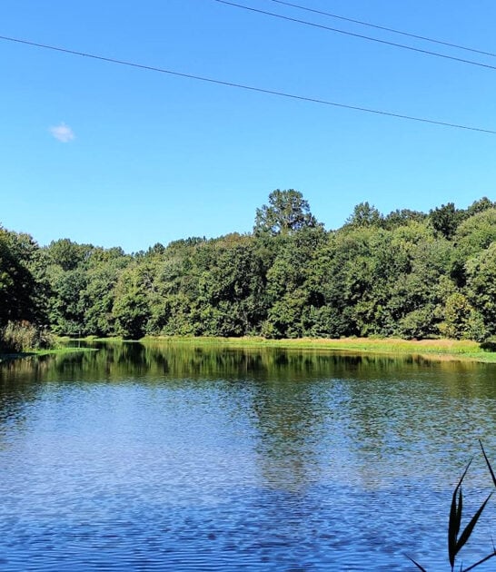 scenic park delaware perfect ftr