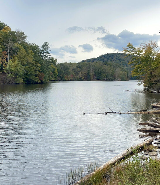 scenic park virginia escape ftr