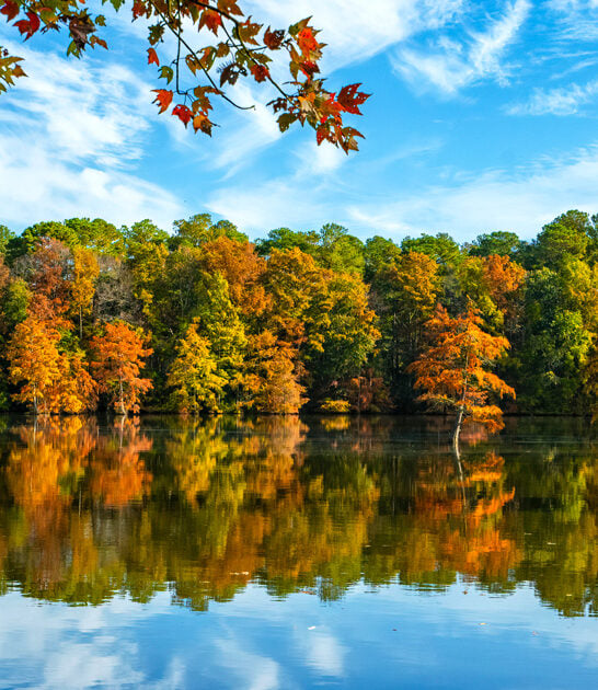 scenic state delaware park ftr